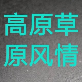 高原草原风情