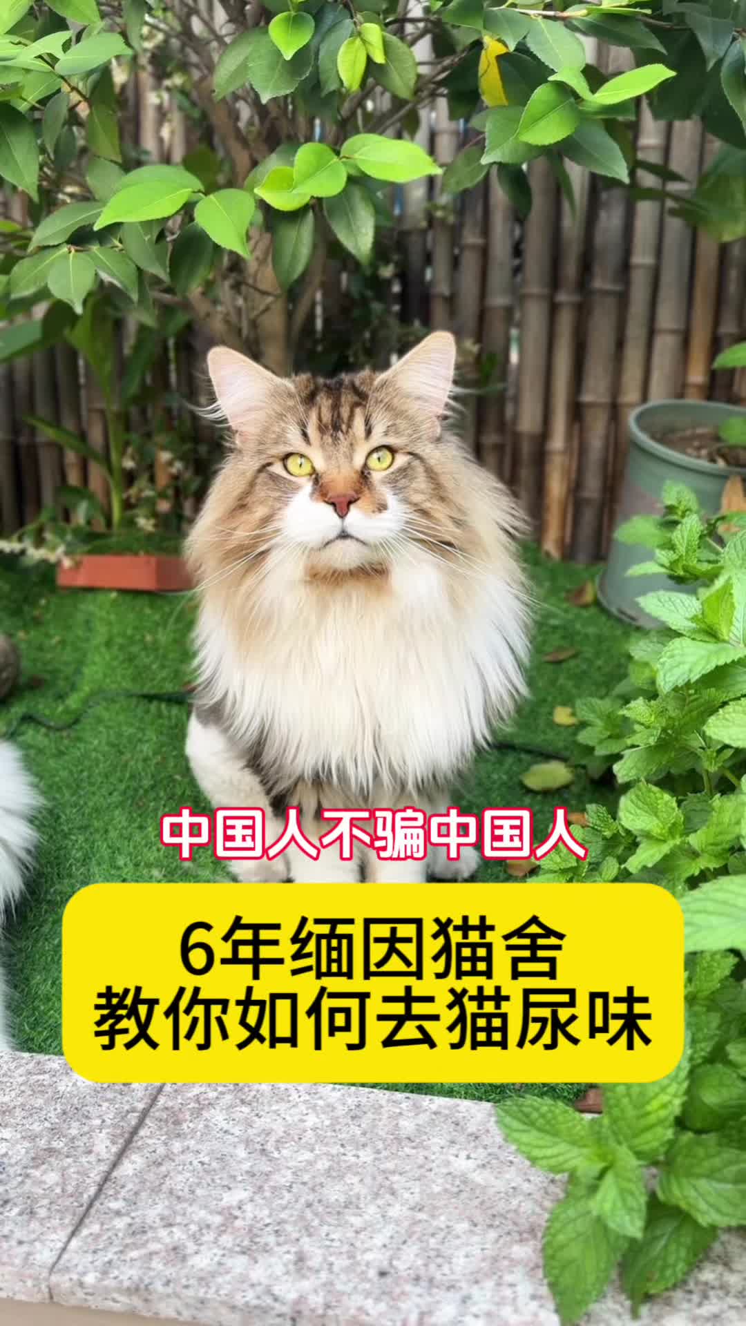 ...选次氯酸消毒液要选氯含量越高越好的,氯含量越高,消杀效果越好!...