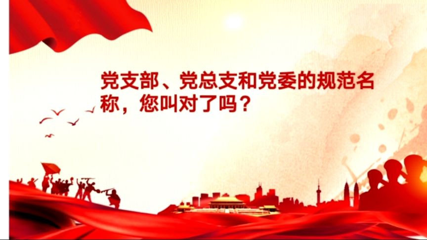 党支部、党总支和党委的规范名称,您叫对了吗?