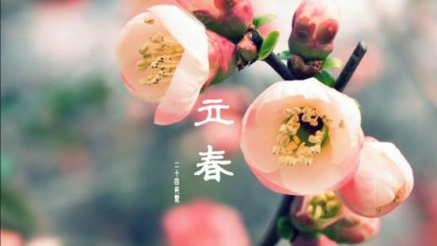 立春,咬春,你吃春饼了吗?