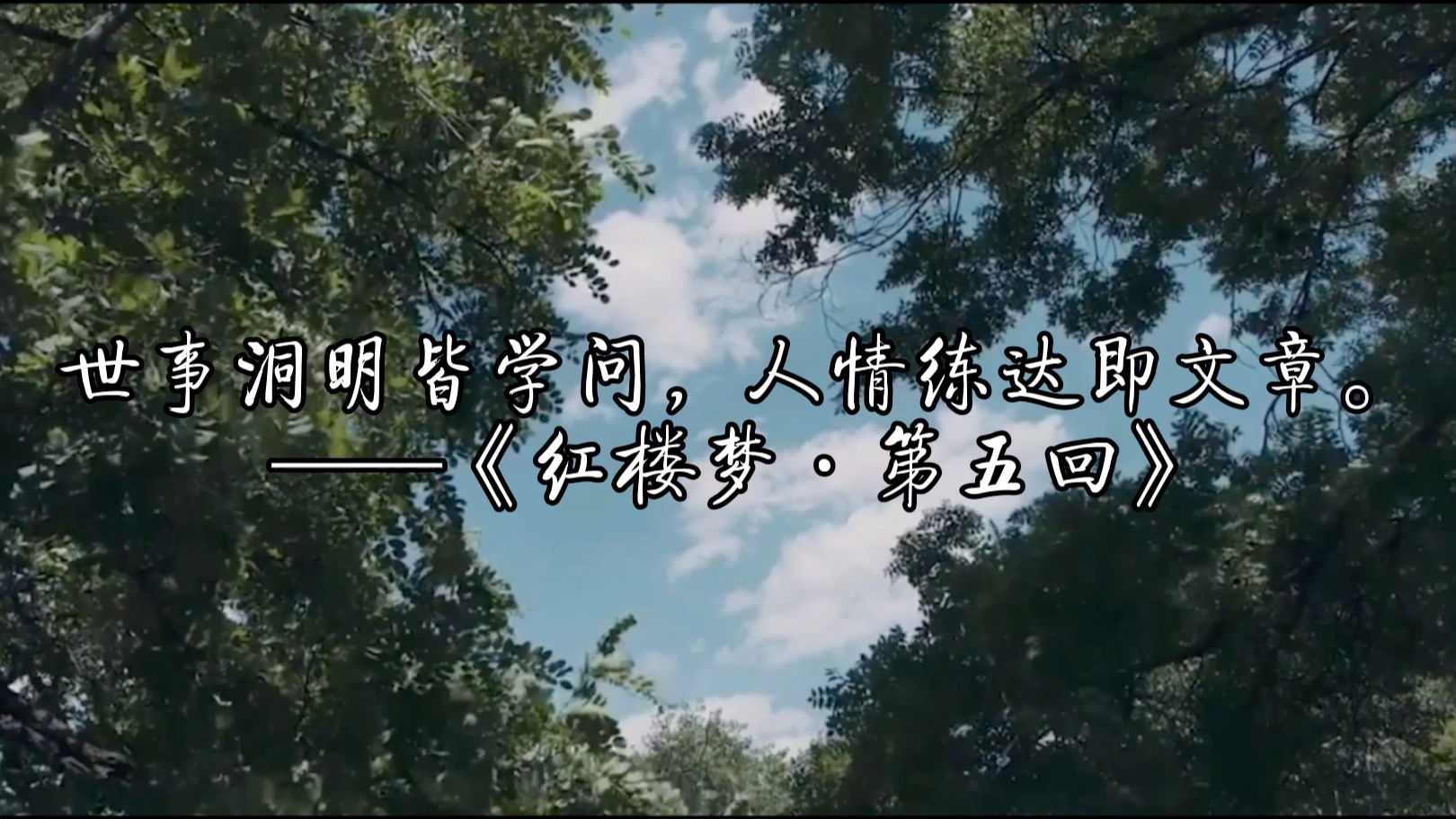 那些关于「哲理」的古诗文:人间有味是清欢…