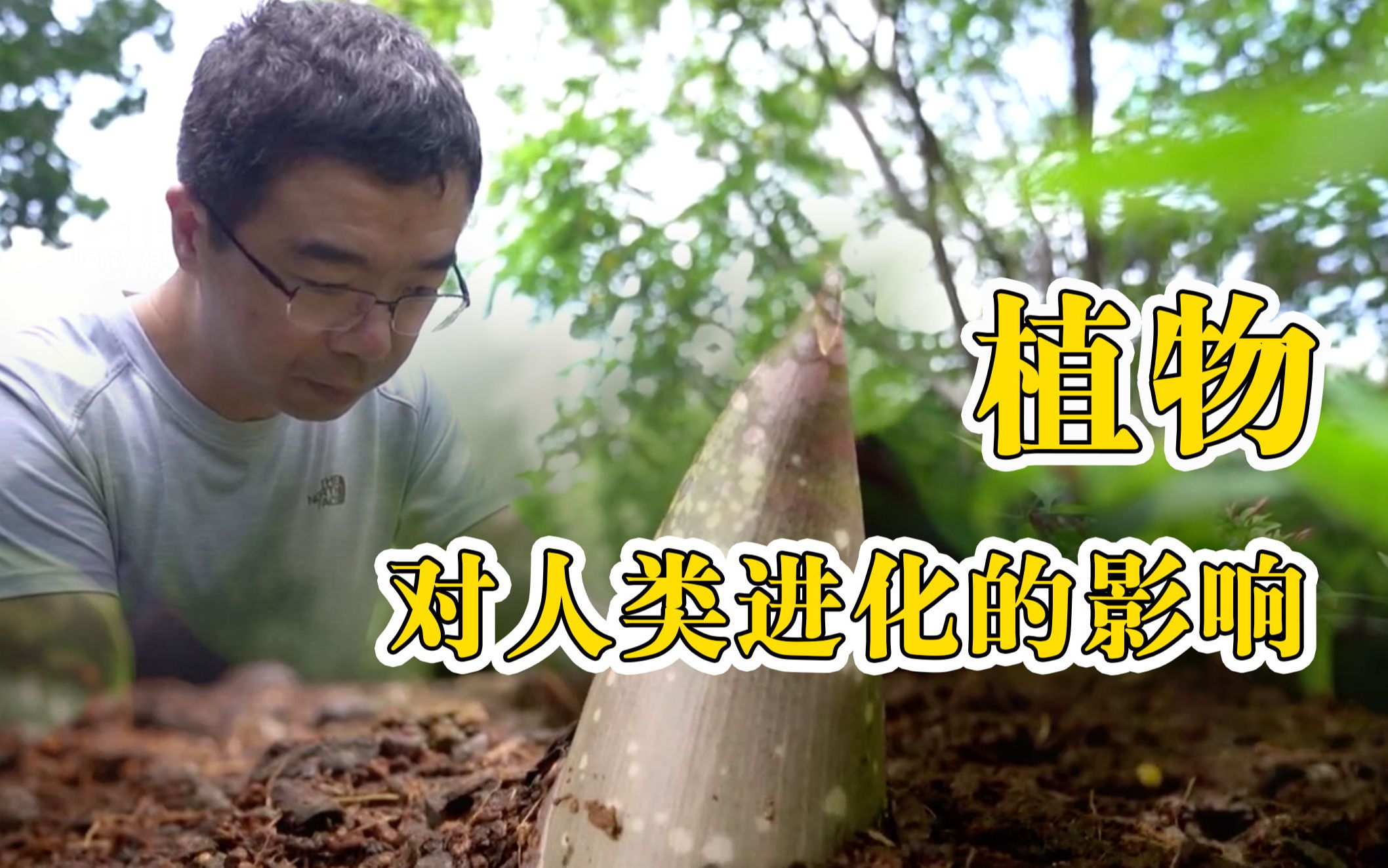 人类的进化与植物有关?听听史军博士怎么说!