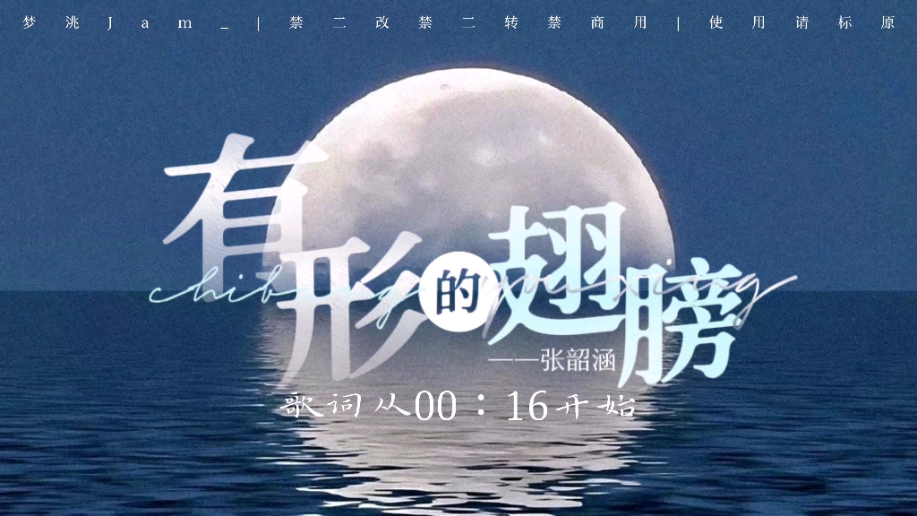【动态歌词排版】有形的翅膀|张韶涵|“我们是彼此有形的翅膀,学着更...