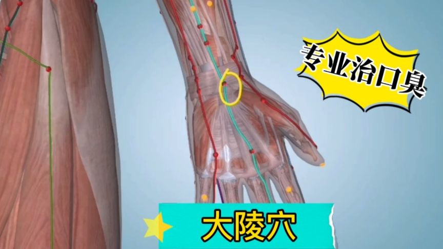 口臭难张嘴?按摩特效穴位“大陵穴”吧!泄心火、祛脾湿、治口臭