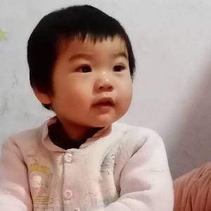 尘缘如梦2016 
