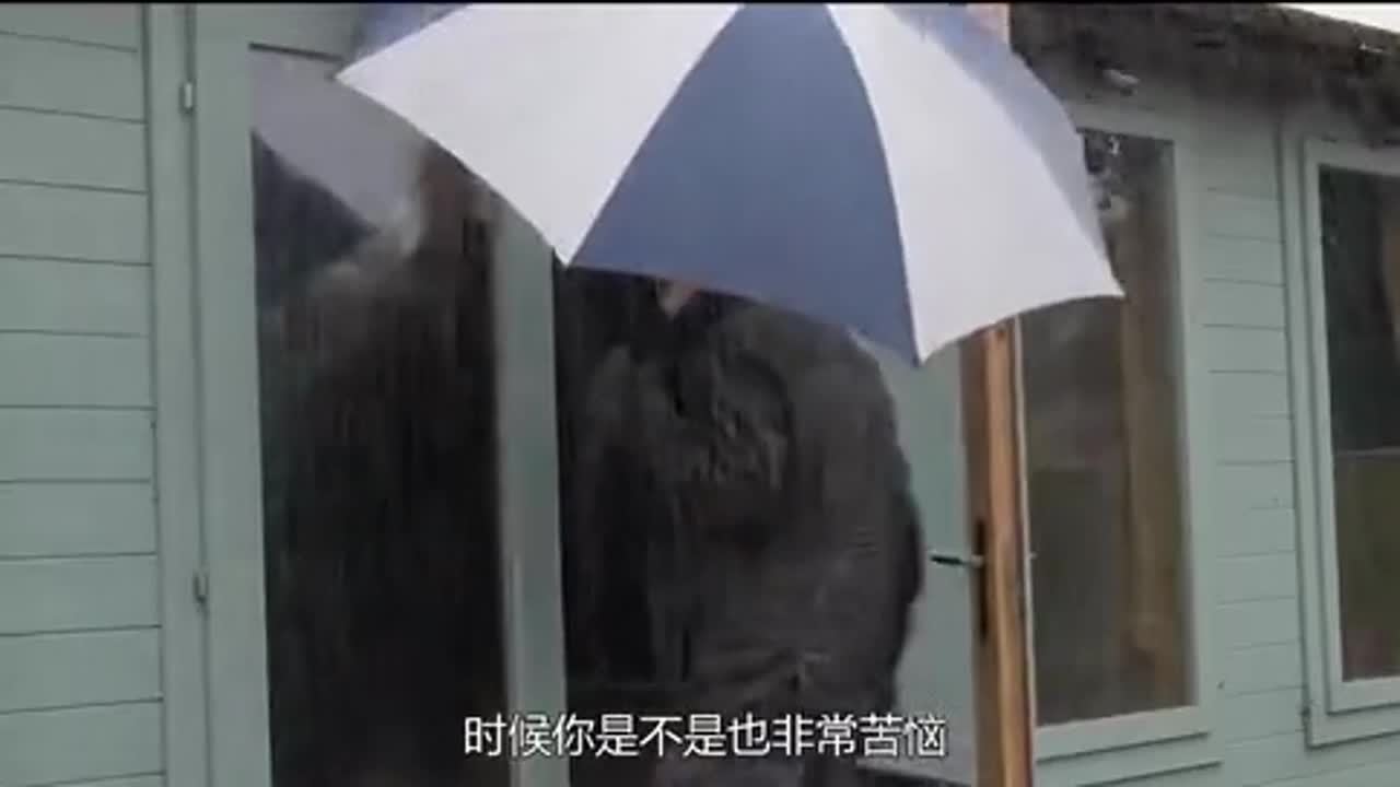 外国人设计外收伞革新结构,上车再也不怕被雨淋!