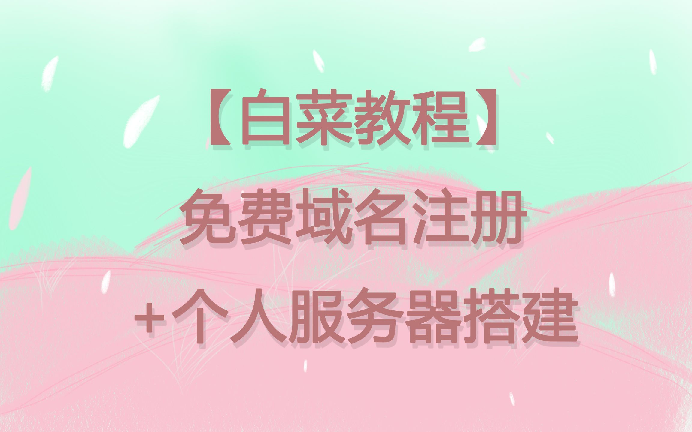 【白菜教程】免费域名注册+个人服务器搭建 (不要钱!让所有人都可以...
