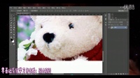 PS基础教程PS基础工具使用方法PS画布大小