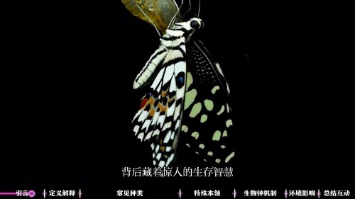 白天活动晚上睡觉的动物