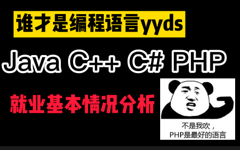【计算机小白速进】各种编程语言的就业基本情况分析
