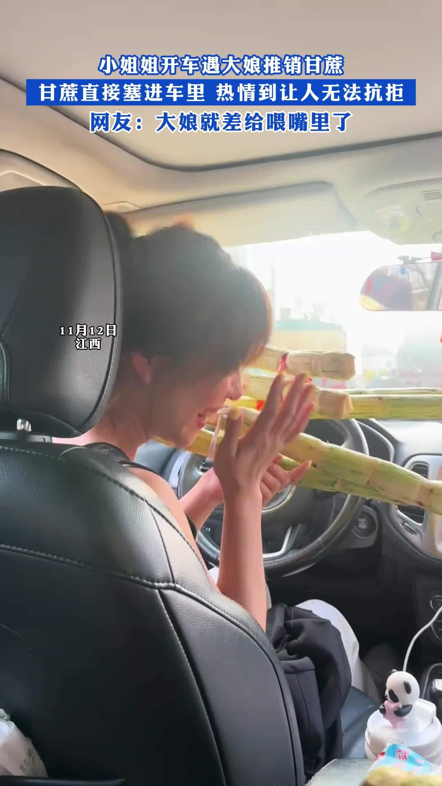 开车遇大娘推销甘蔗,甘蔗直接塞进车里 热情到让人无法抗拒