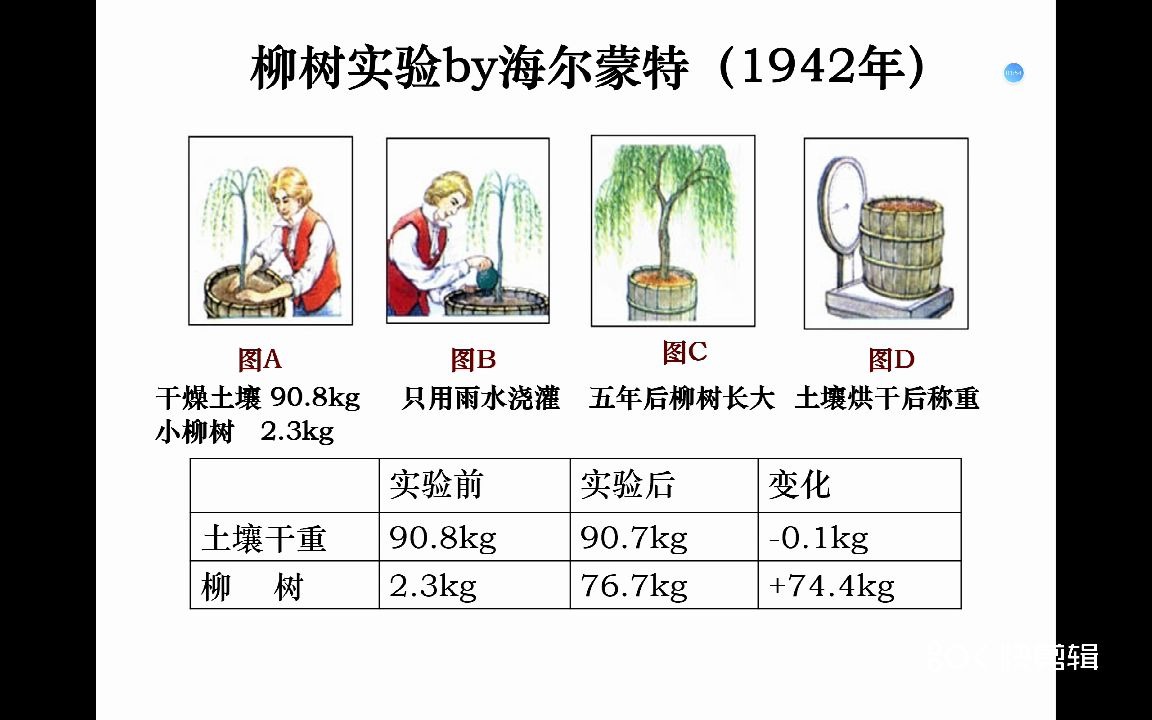 高中生物必修一(浙科版)3.5光合作用1(光合作用的过程)