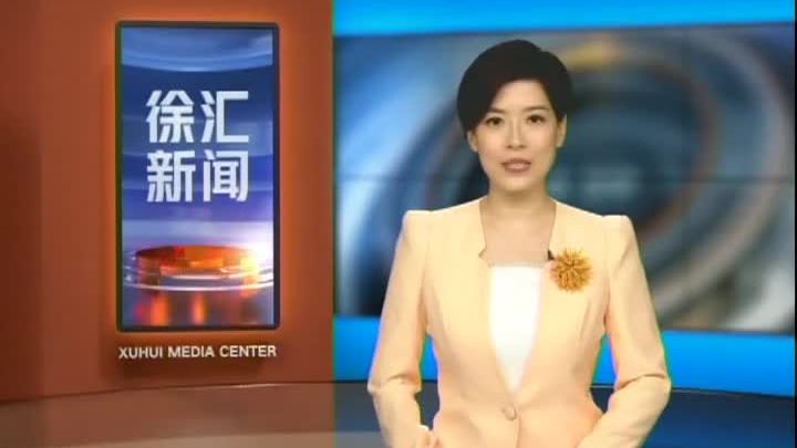 徐汇区河长制林长制工作会议召开