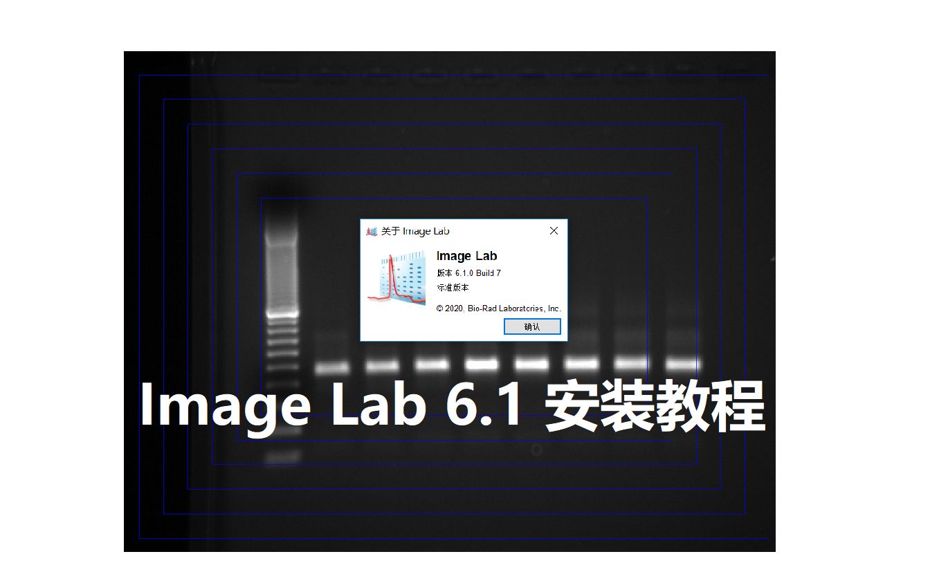 Image-Lab 6.1 WIN版 影像采集和分析 安装包下载安装超简单,电脑新手...
