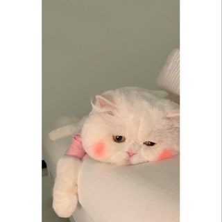 大大