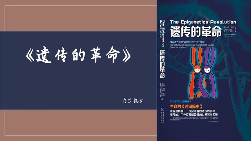 遗传的革命——讲解了具革命性的表观遗传学对我们生命的影响