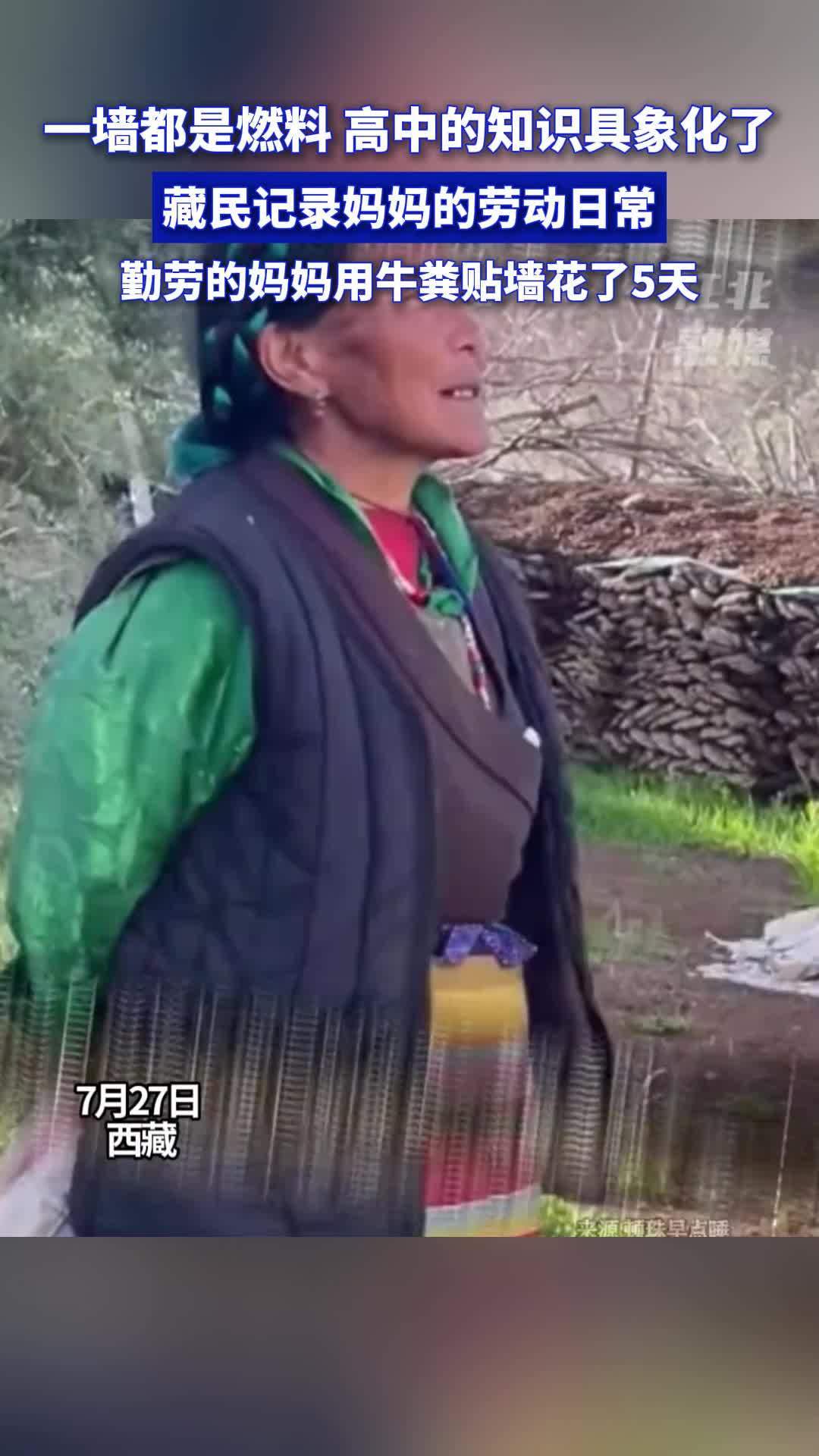 藏民记录妈妈的劳动日常,勤劳的妈妈用牛粪贴墙花了5天