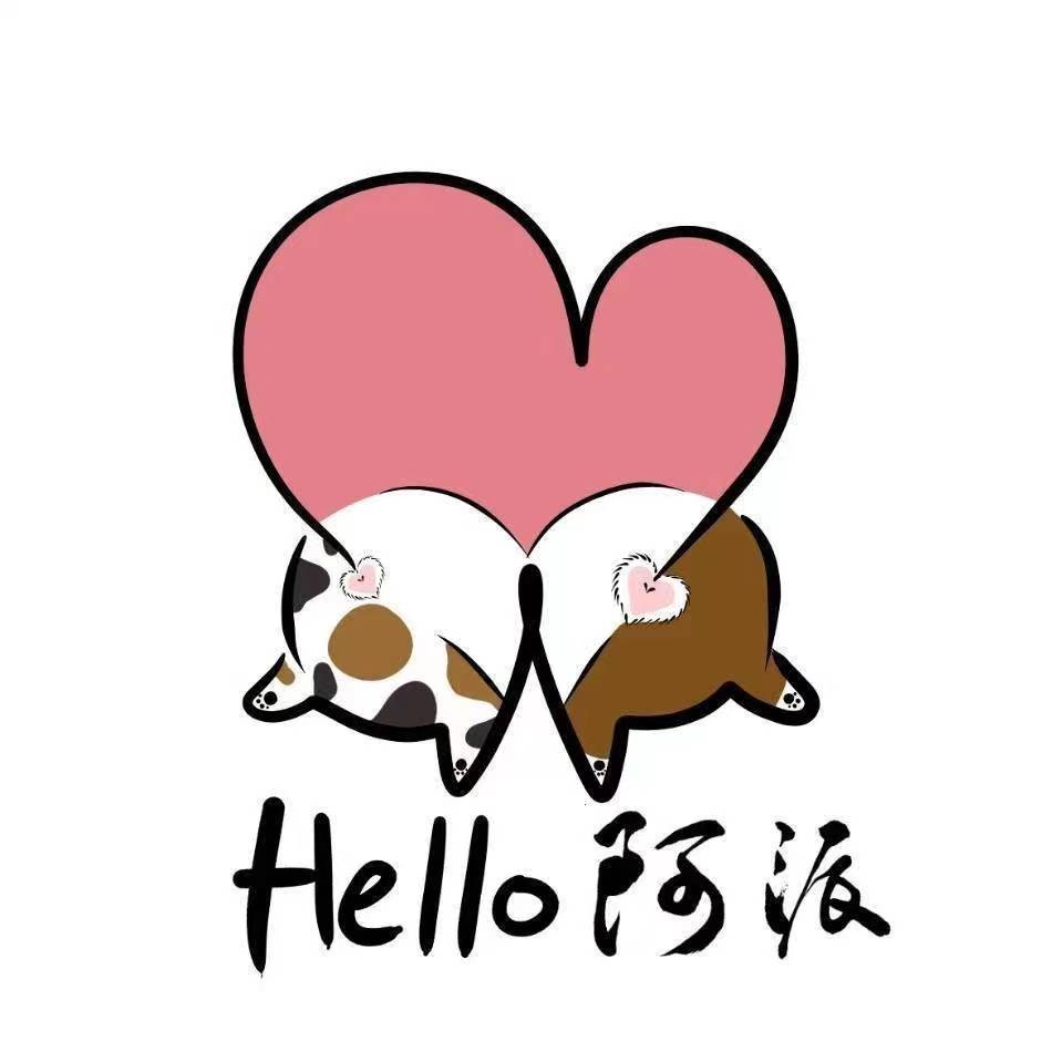 Hello阿派 