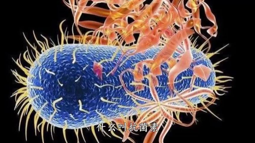什么是抗菌素?是细菌分泌的内毒素和外毒素!#医学科普
