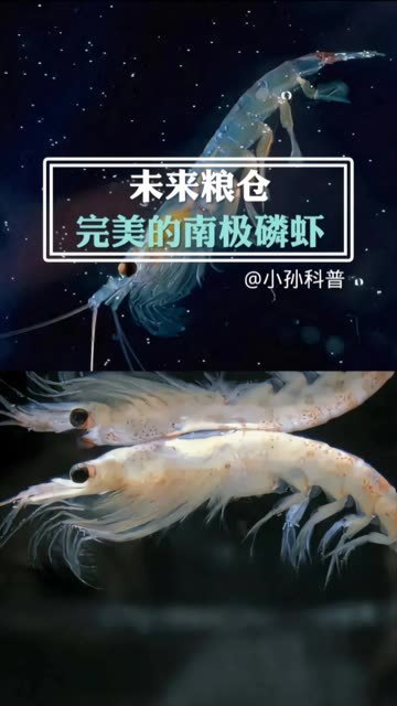 含人体各种需要的氨基酸