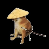 杂食性雾草 
