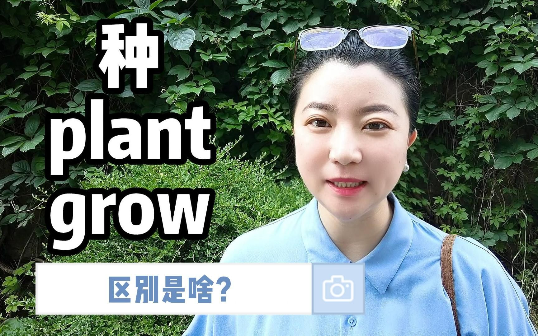 英语里的2个“种植”区别到底在哪里?