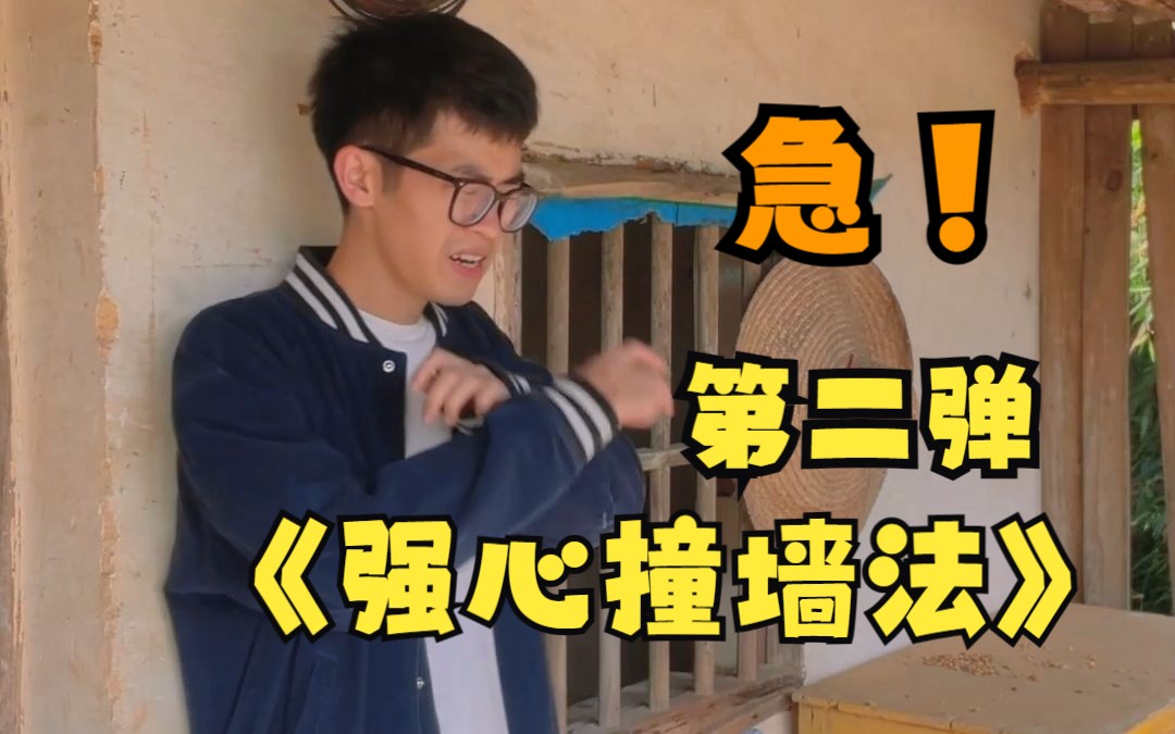 坚持倪师撞墙法一个月!