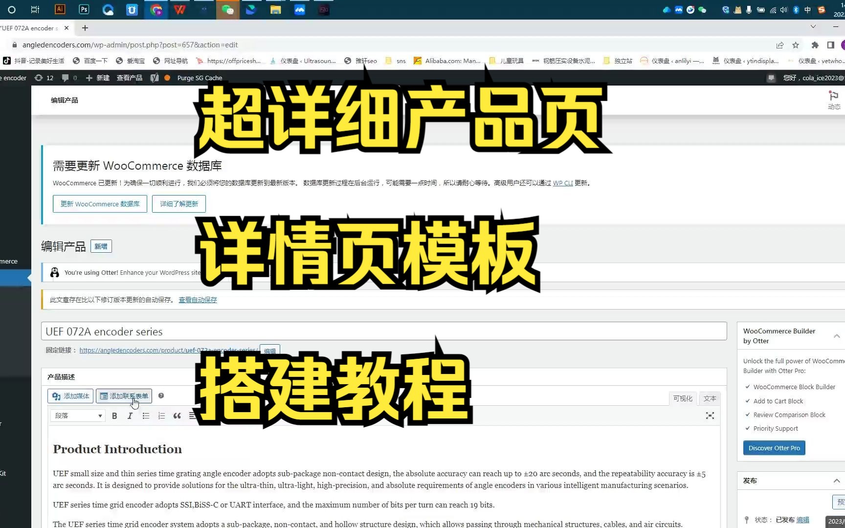 【WordPress独立站建站教程】:超详细产品页详情页模板搭建教程