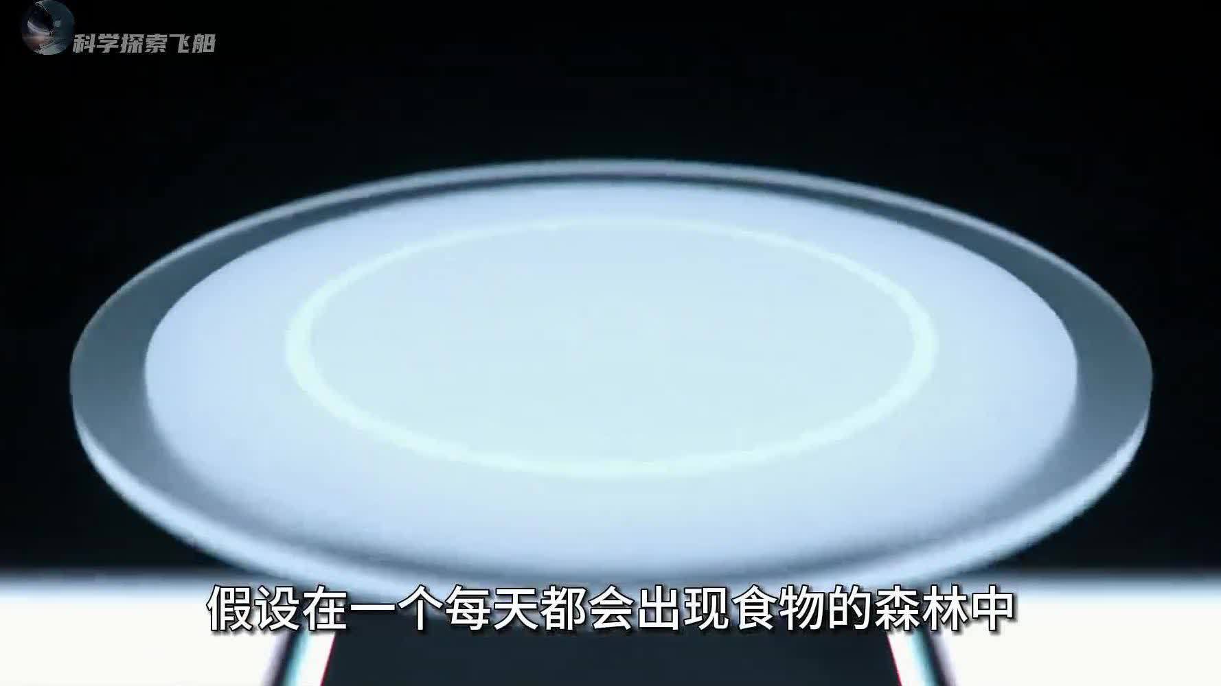 一个细思极恐的模拟实验,适者生存对生物种群发展,到底有多残酷