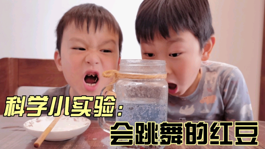 科学小实验:会跳舞的红豆