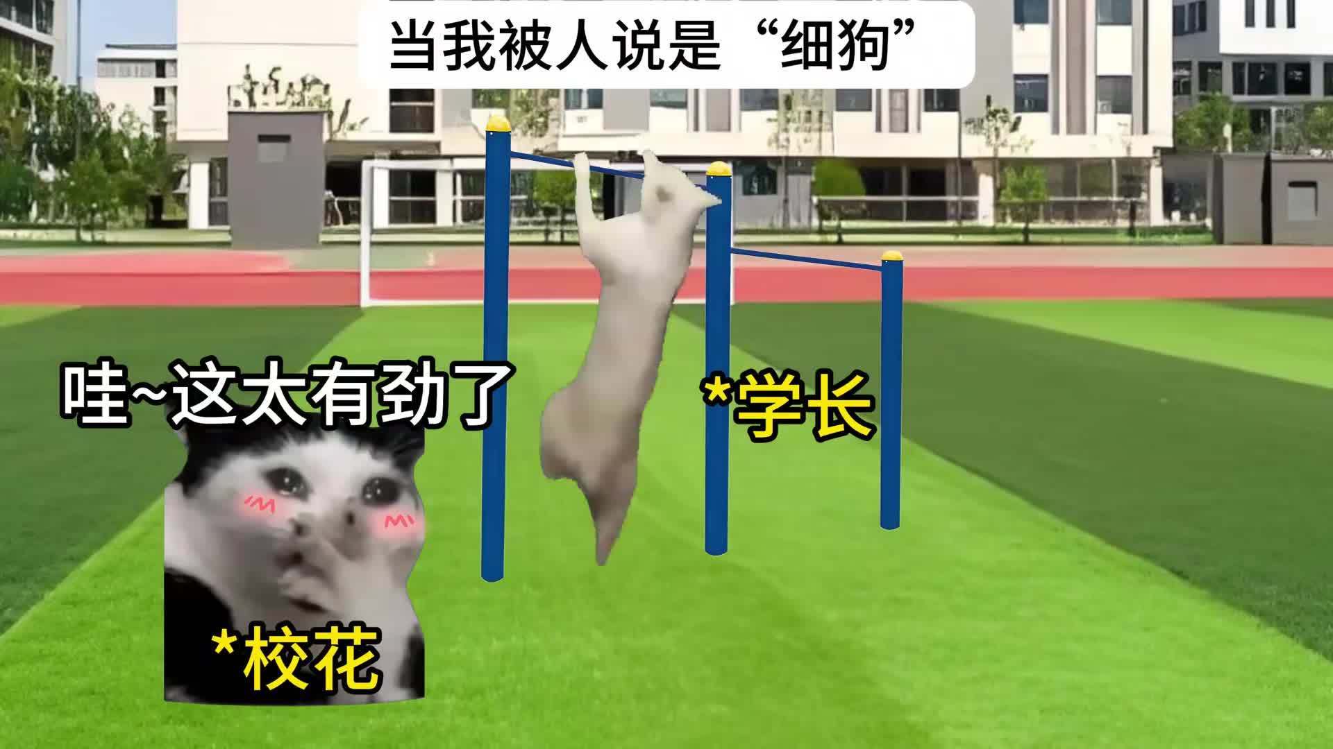 当我被人说成"细狗"!