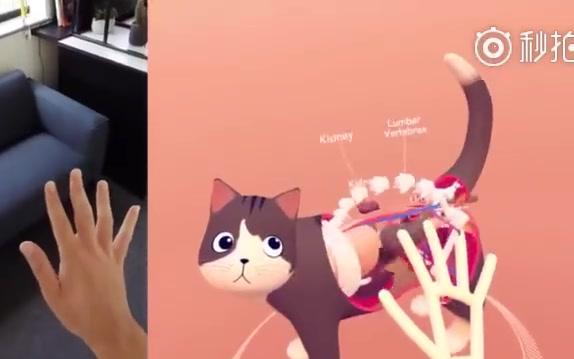虚拟现实技术用于医学(Cat Explorer)