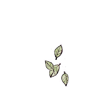 Myborn 