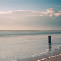 沿袭の嗜 