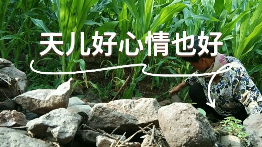 农村的生活坝踏了丛心厽一下见鬼了从上面踏的而不是从下面踏的…