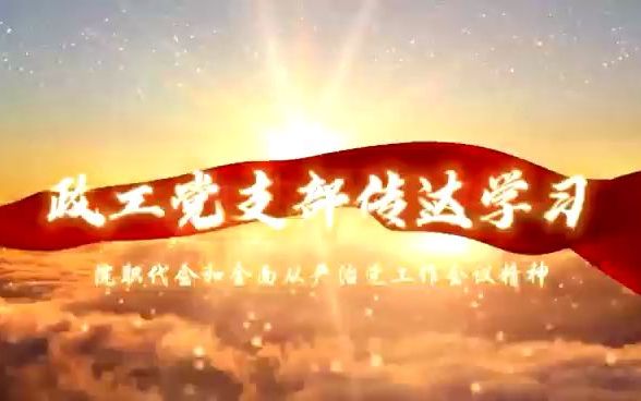 政工党支部学习传达院会议精神