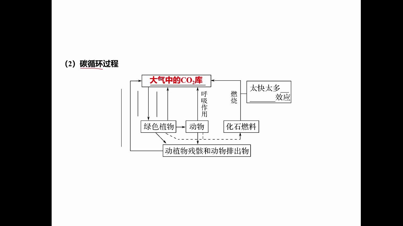 496物质循环和信息传递