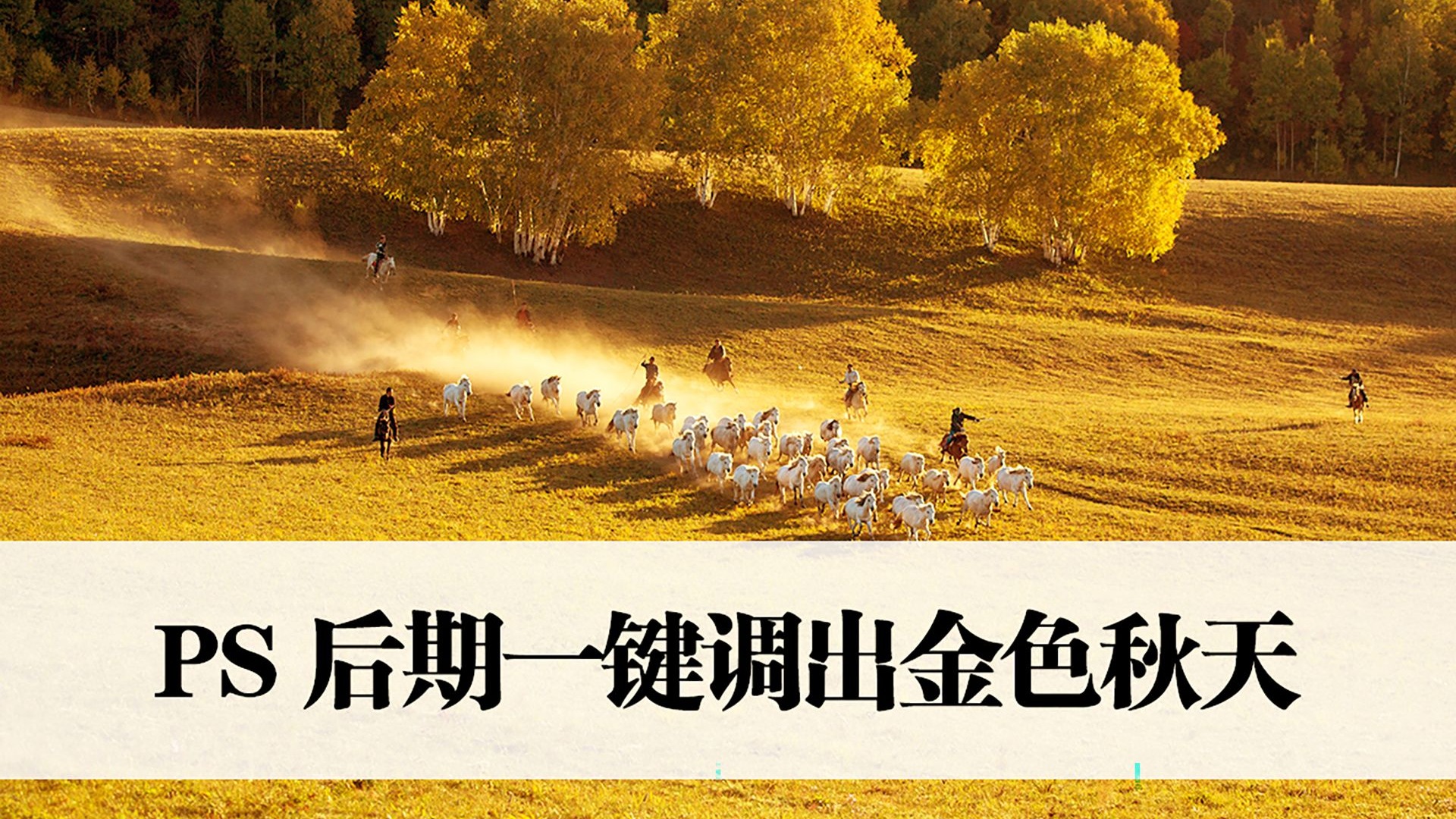 PS后期一键调出金色秋天