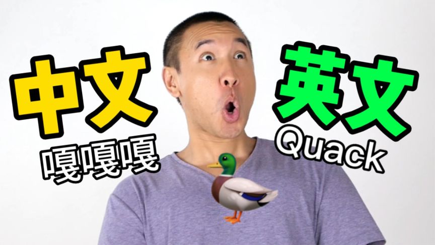 中文英文动物叫声有何不同?