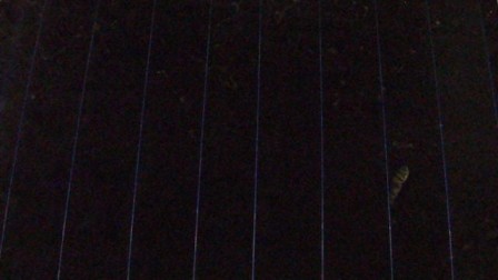 物理实验气泡室