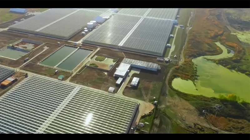 智能温室无土栽培模式,温室大棚工程承建