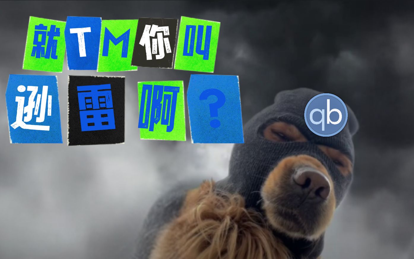 让你站着把资源给下载了!何必给逊雷下跪!超简单QBit真下载器使用教程