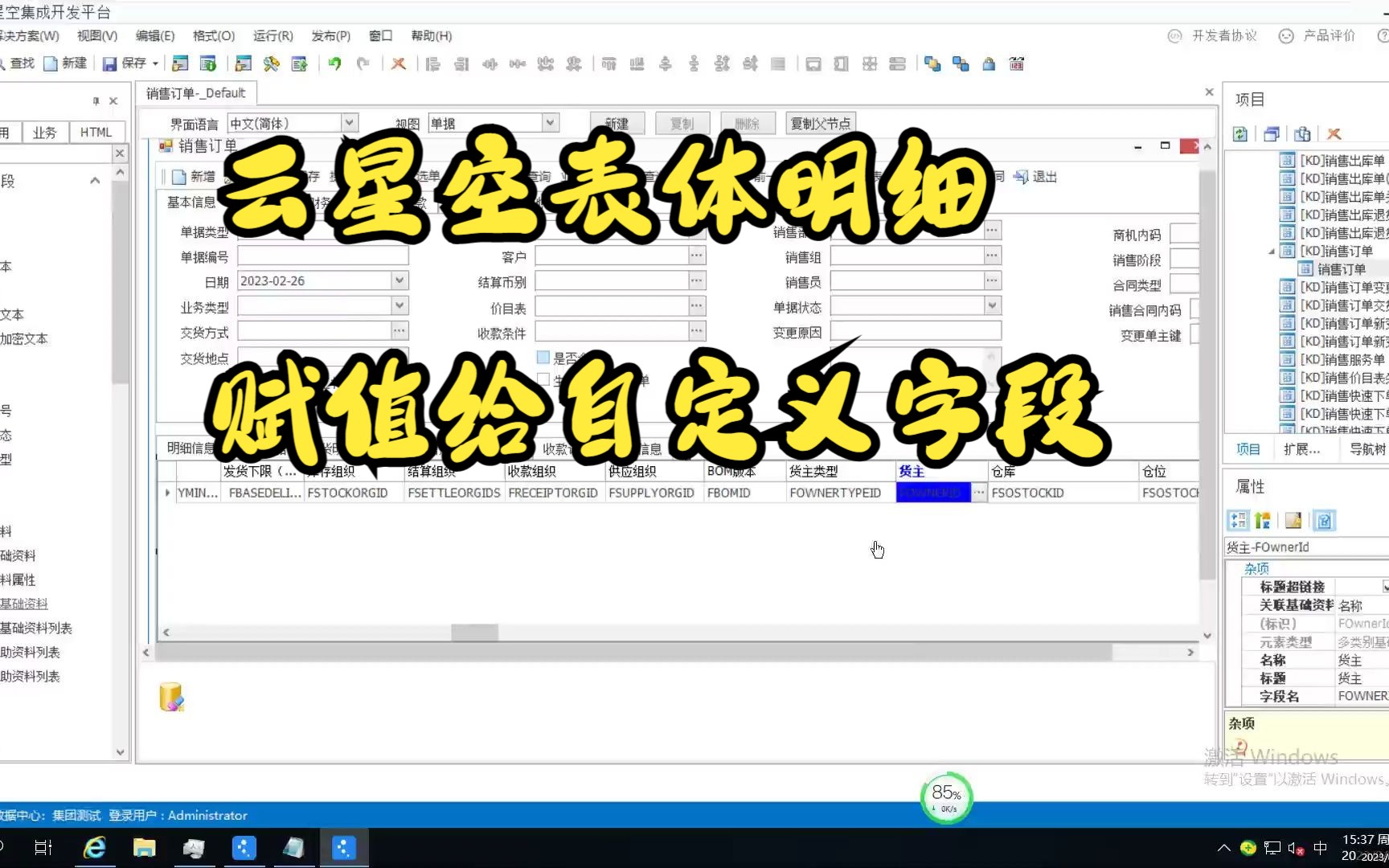 自制视频-云星空表体明细赋值给自定义字段