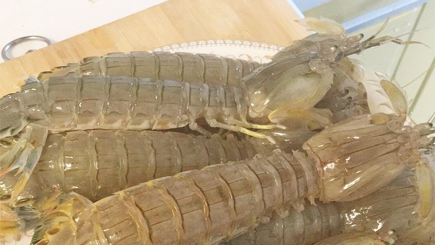 家常椒盐虾爬子,营养美味、鲜香酥脆——老齐美食视频