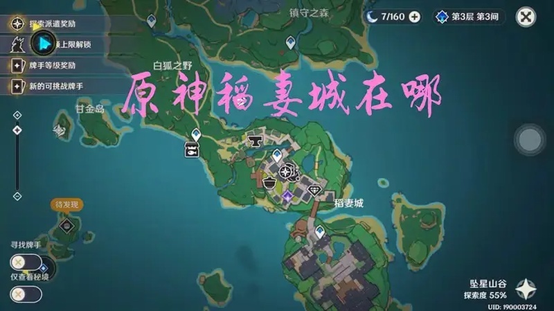 原神稻妻城在哪里