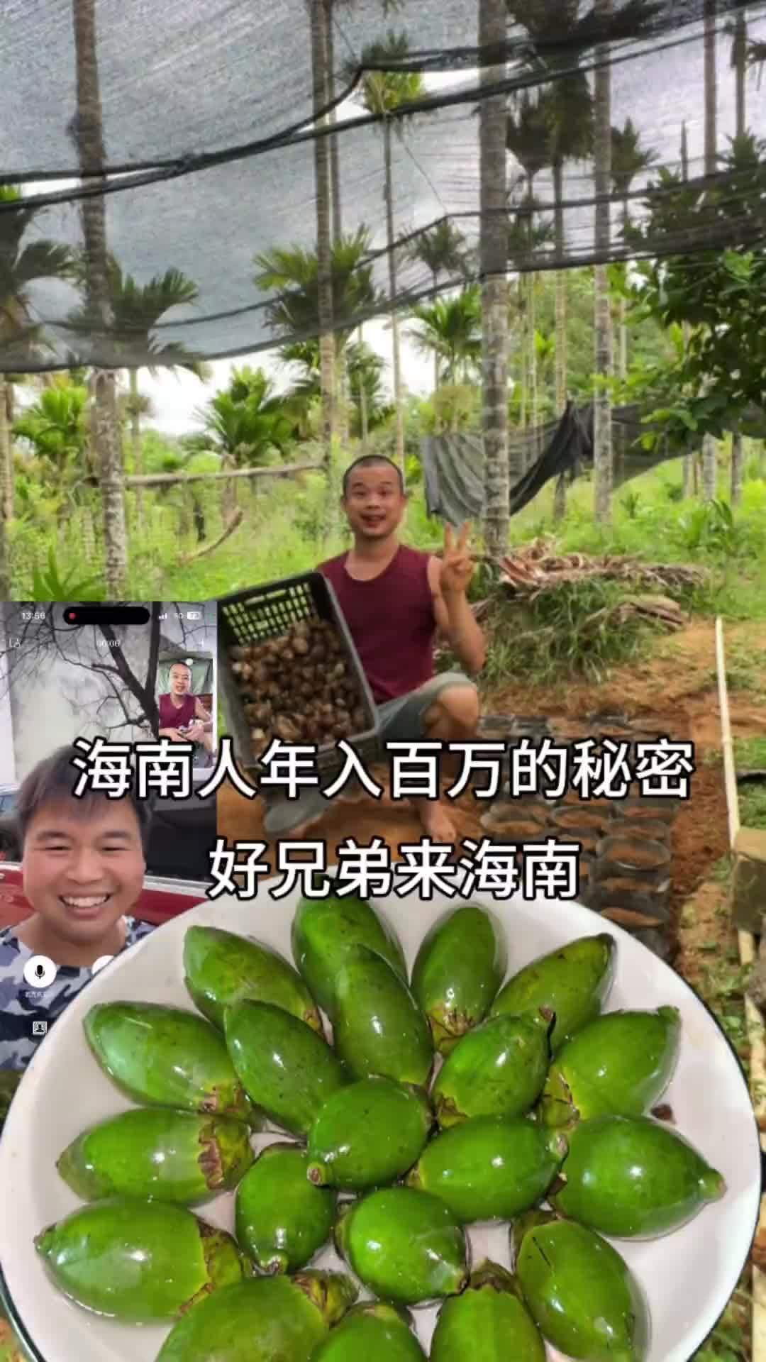 改行程了、出发荒岛