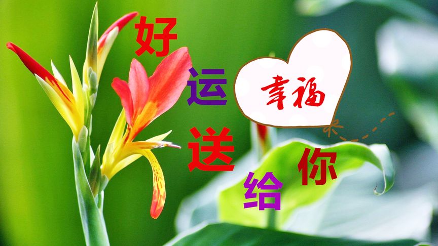 正月初十,在这十全十美的日子里,把好运送给你,祝你心想事成!