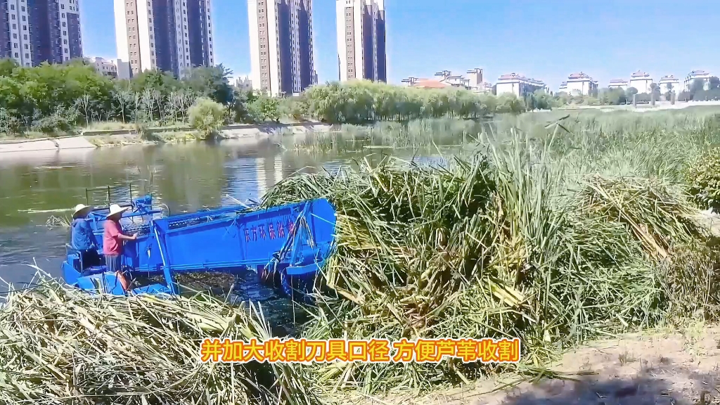 全自动芦苇收割船
