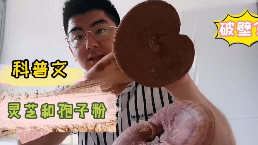 灵芝孢子粉是灵芝磨成的粉?10多种元素,人体竟吸收不了?