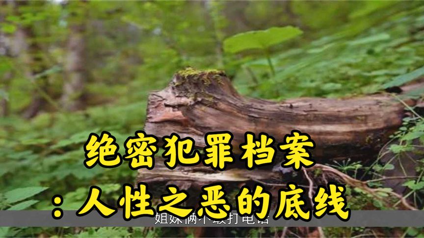 绝密犯罪档案:人性之恶的底线